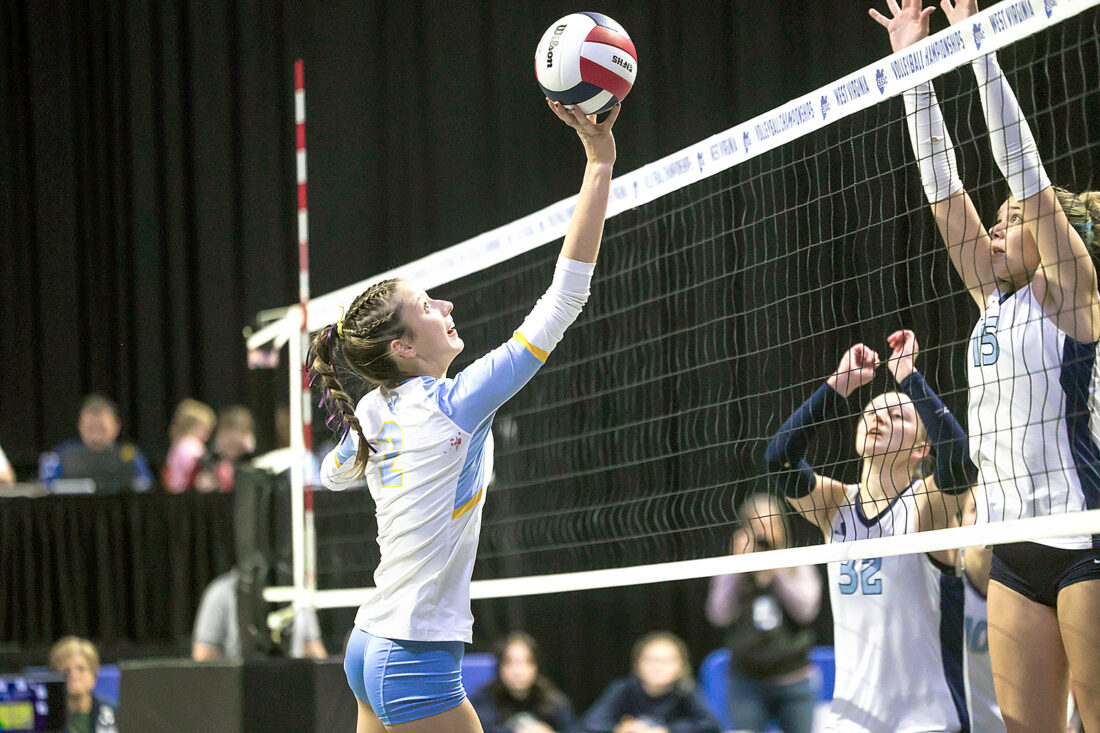 Golden Bears claim another state title | News, Sports, Jobs - The ...